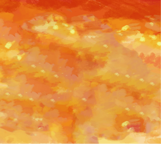 TVPaint Standard - Traditional animation software